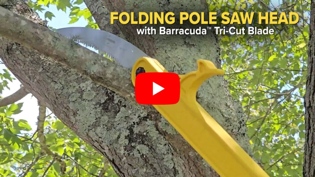 Folding Pole Saw with 13" Barracuda Saw Blade | Jameson Tools | PS-4FS