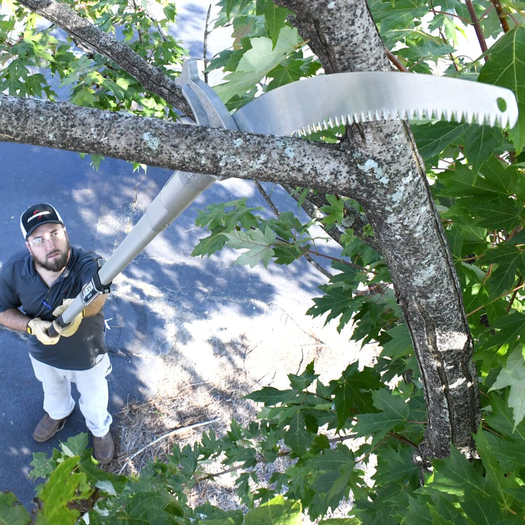 Tree Care Tools – Jameson Tools